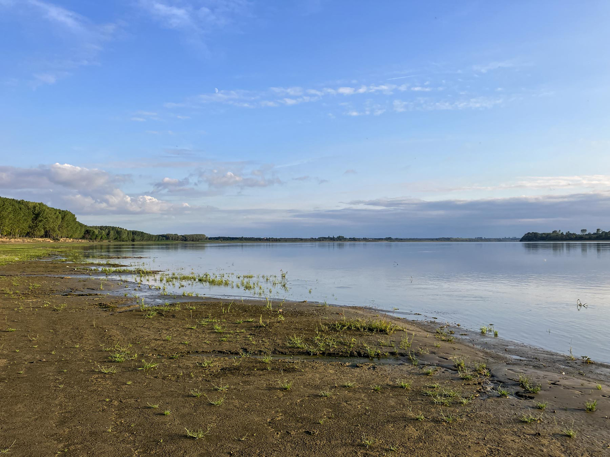 SWINGING DRY WATER by Jasmina Al-Qaisi and Veronika Svobodová | SEMI SILENT